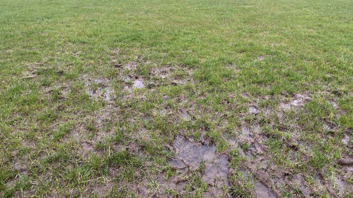 Persistent rain leaves pitches unplayable nationwide | Morning Ireland ...