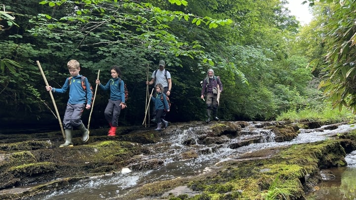 Bush Kids S03E05 - RTÉ Player