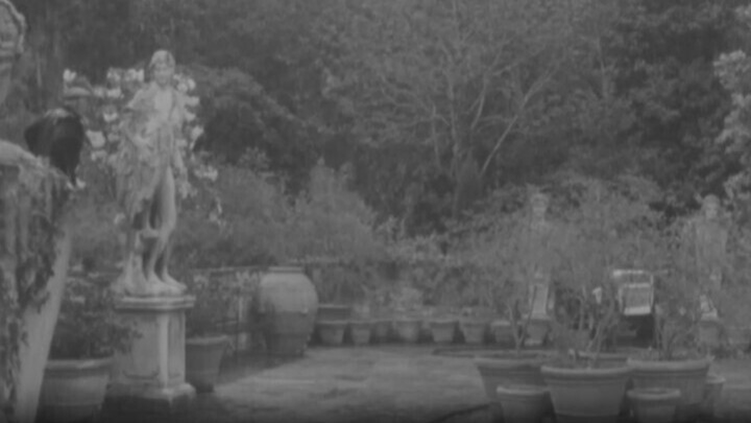 RTÉ Archives | Environment | Glenveagh Estate