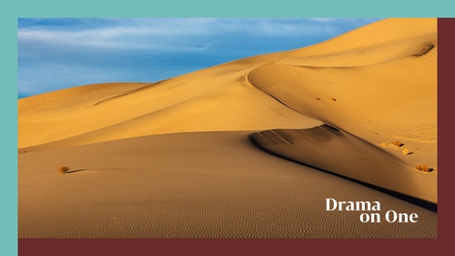 In the Wings - Eureka Dunes by Philip Davison
