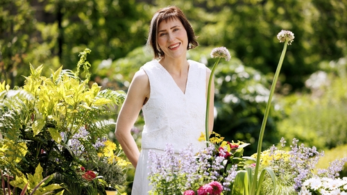 Liz Nolan | The Full Score