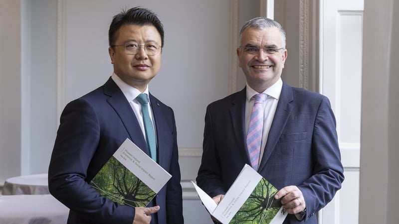 Huawei's €800m economic contribution to Ireland - report