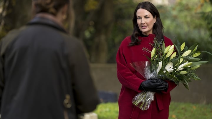 Harry Wild S02E01 - Silence Dogood Did Bad - RTÉ Player