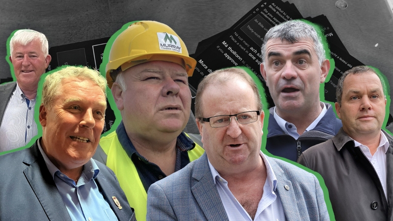 Beyond the banner: who was elected for Independent Ireland?