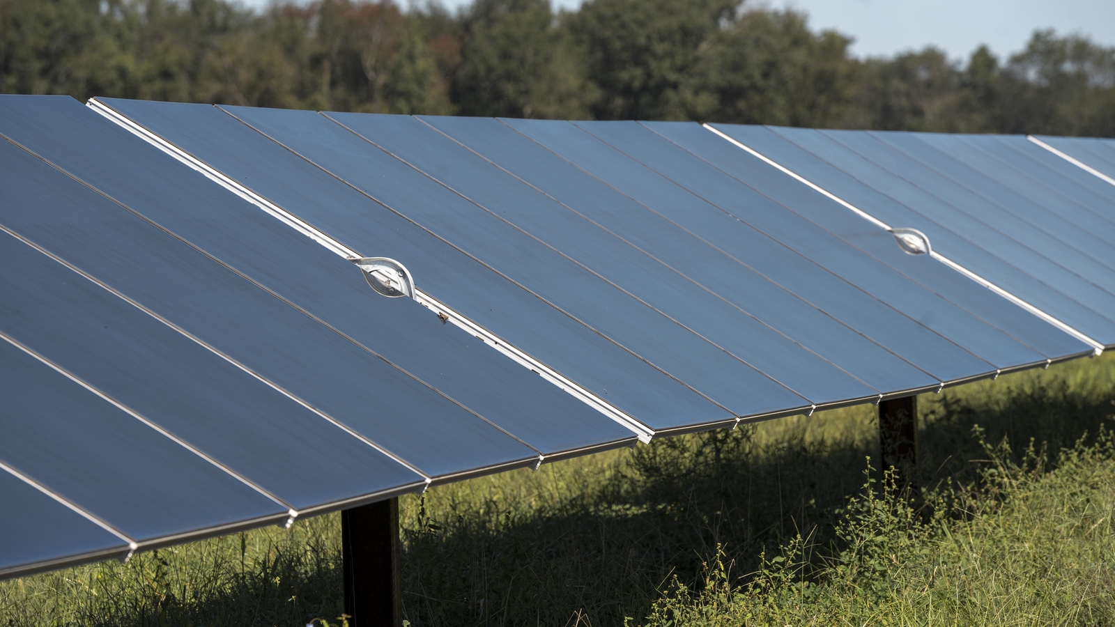 Work begins on new Ørsted solar farm near Carlow