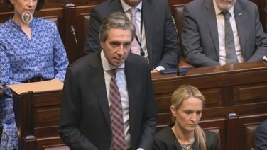 Video | Taoiseach pays tribute to the late GAA commentator Mícheál Ó ...