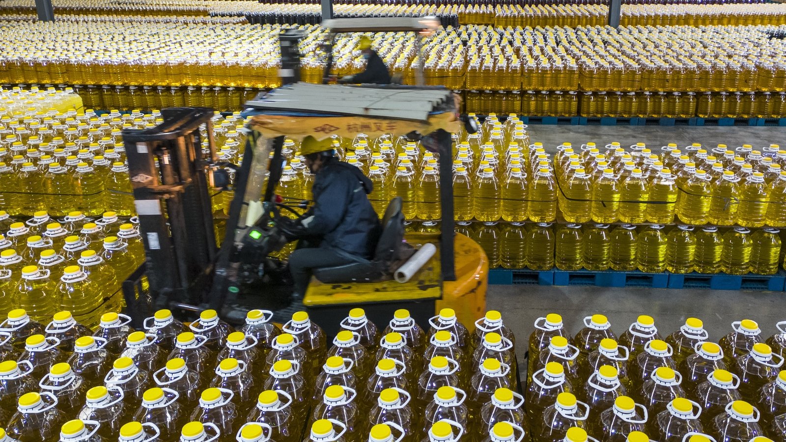 China cooking oil scandal stokes food safety fears