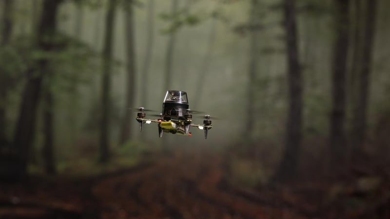 Scientists in bid to teach drones how to swarm like bees