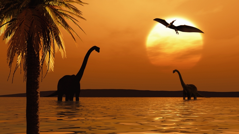 Far out: Scientists find origin of dino-killing asteroid