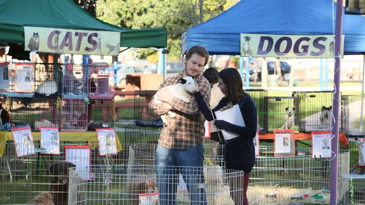 Parks And Recreation S04E19 - Live Ammo - RTÉ Player