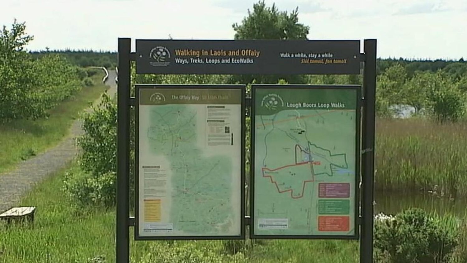 RTÉ Archives | Environment | Abbeyleix Bog