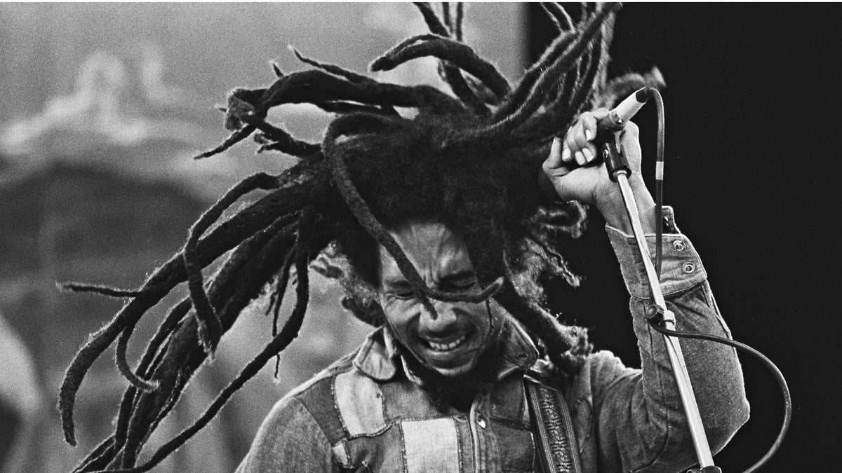 Documentary On One - Bob Marley In The Park