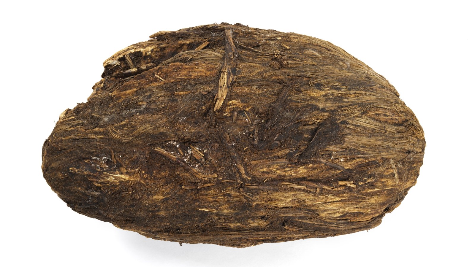 All you ever wanted to know about bog butter