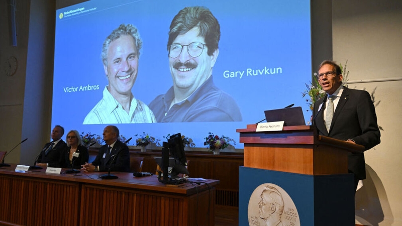 US duo win Nobel prize for gene regulation breakthrough