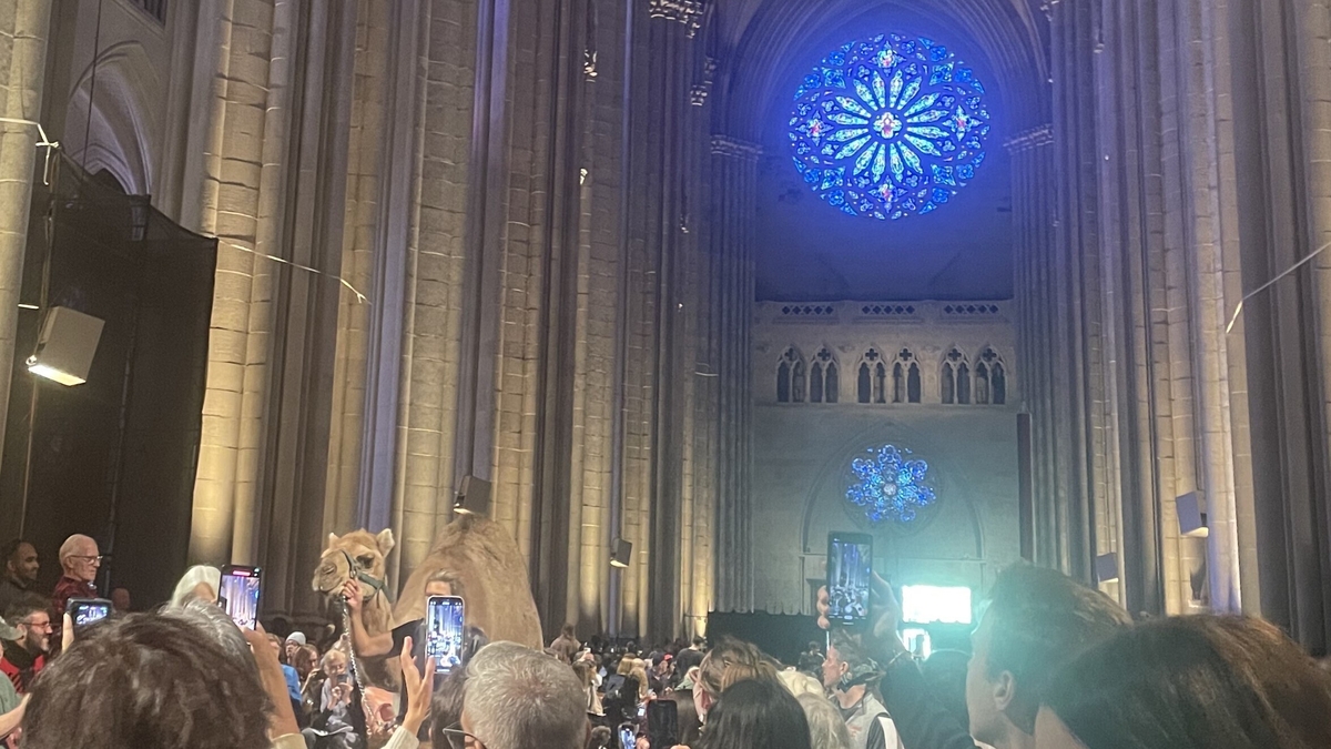 The Culture File Weekly 191024 | Lorcan Murray's Classic Drive - RTÉ ...