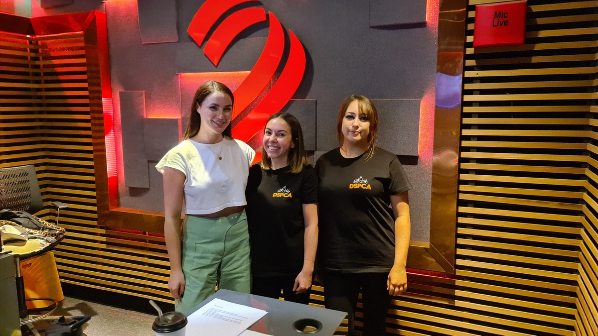 Pets in Apartments | The Laura Fox Show - RTÉ 2FM