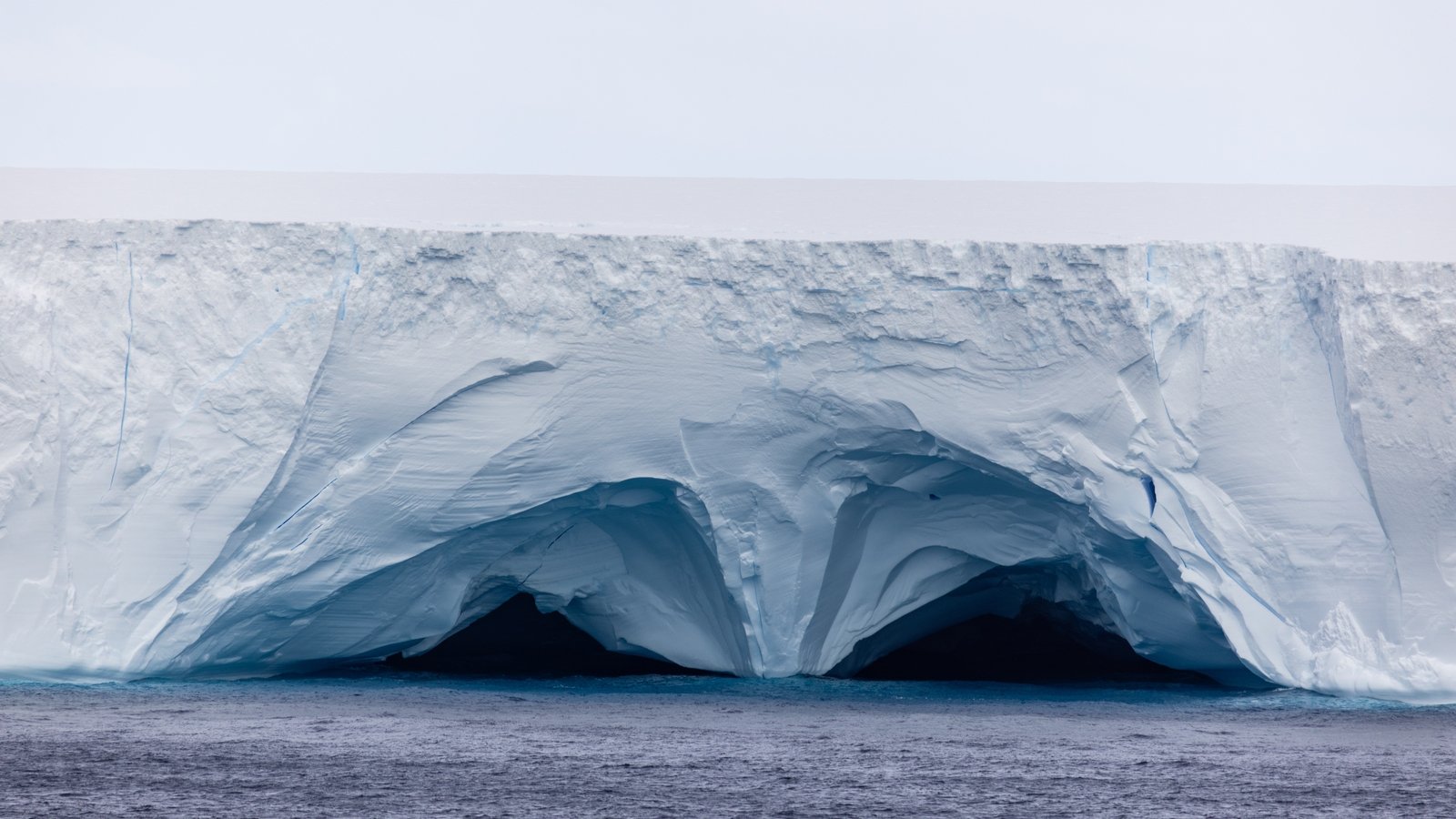 World's biggest iceberg runs aground near wildlife haven
