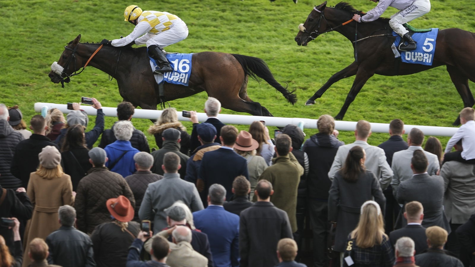 Alphonse Le Grande reinstated as Cesarewitch winner