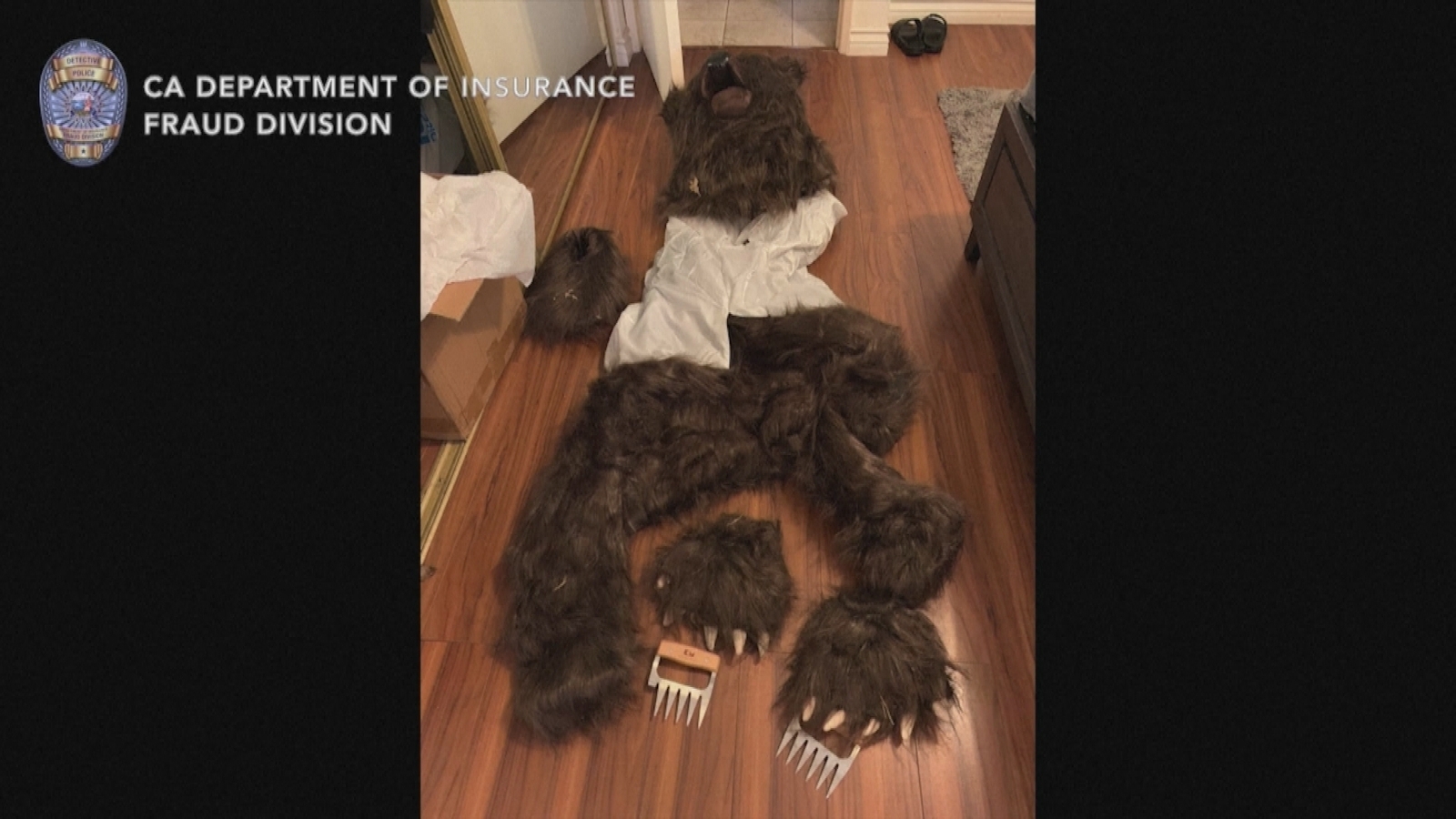 Watch: Fraud arrests as man in bear costume damages cars