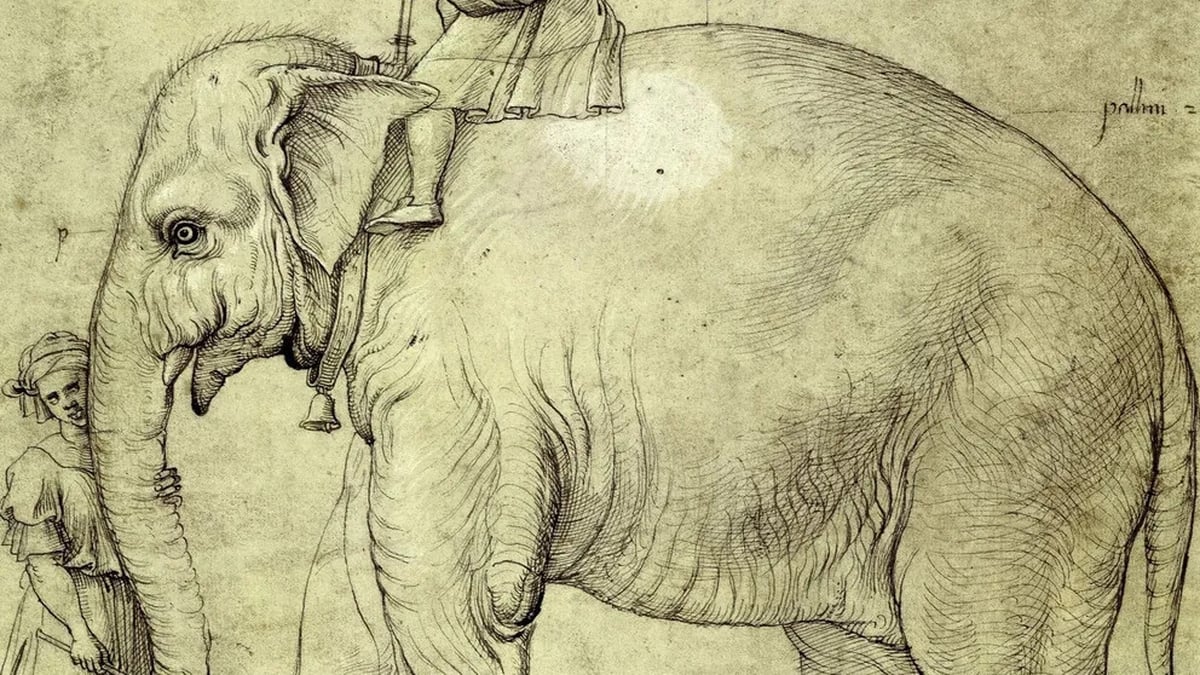 Mooney Goes Wild Monday 6 January 2025 - Mooney Goes Wild