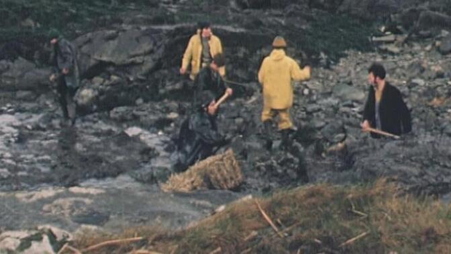 Rté Archives Environment Bantry Bay Oil Spill