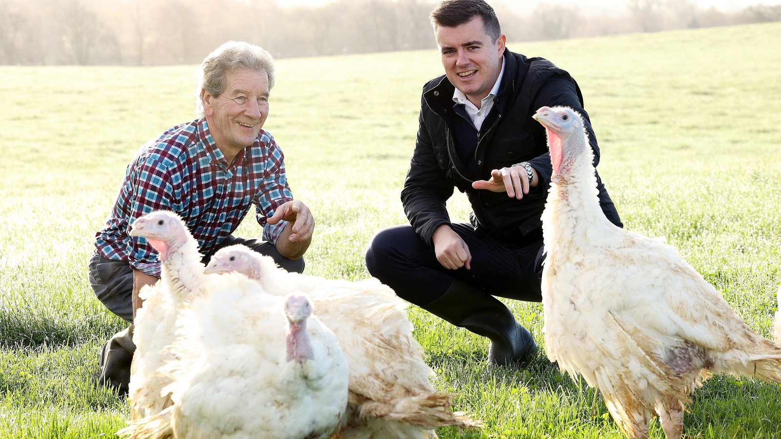 Lidl Ireland signs fresh deal with McCaghey Turkeys