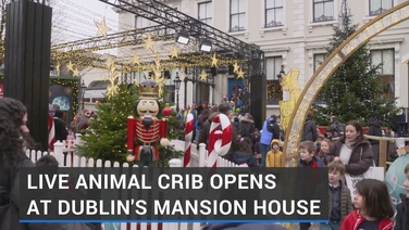 Video | Live crib opens at Dublin's Mansion House | RTÉ