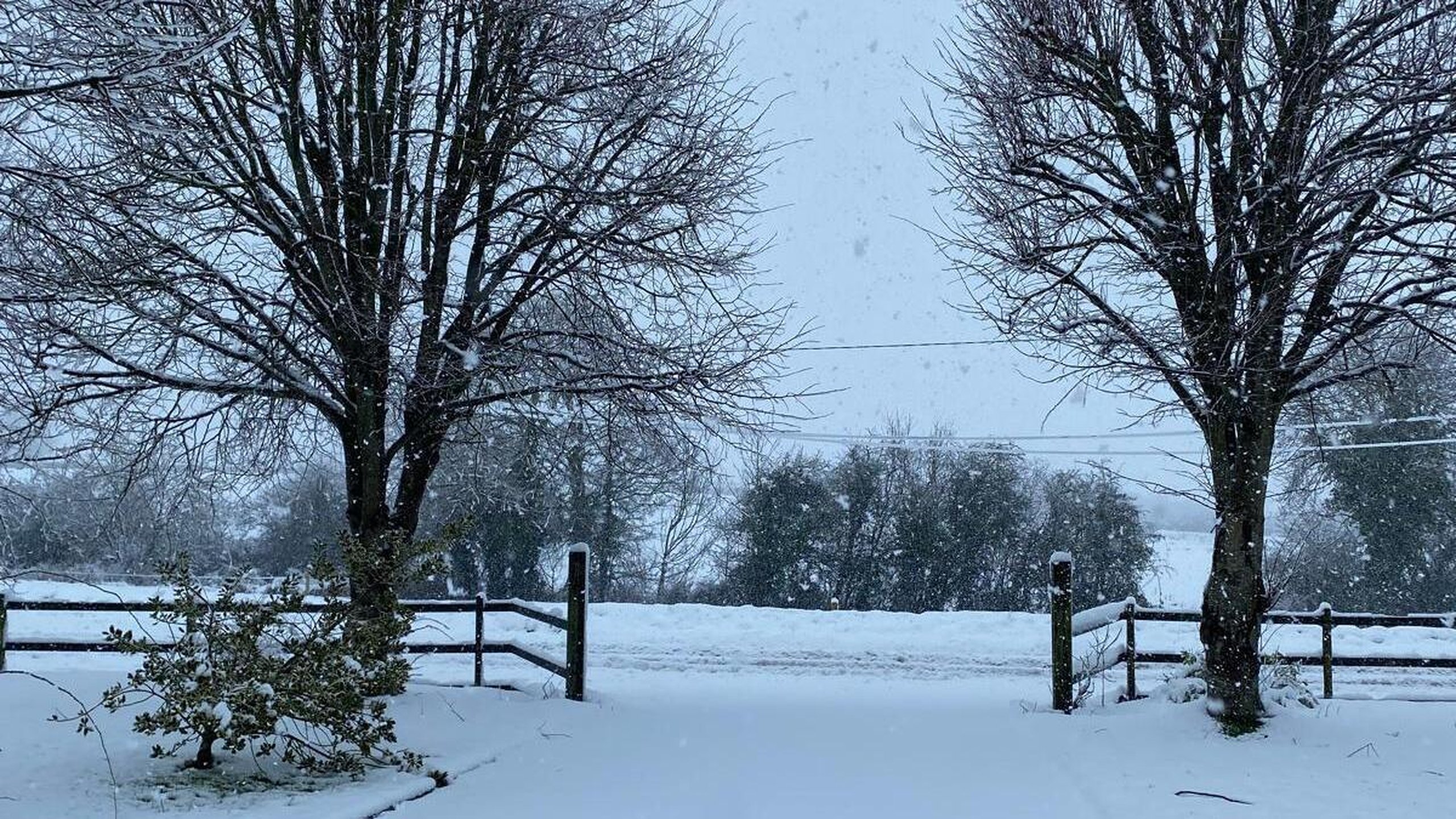 As it happened: Cold snap continues with alert in place