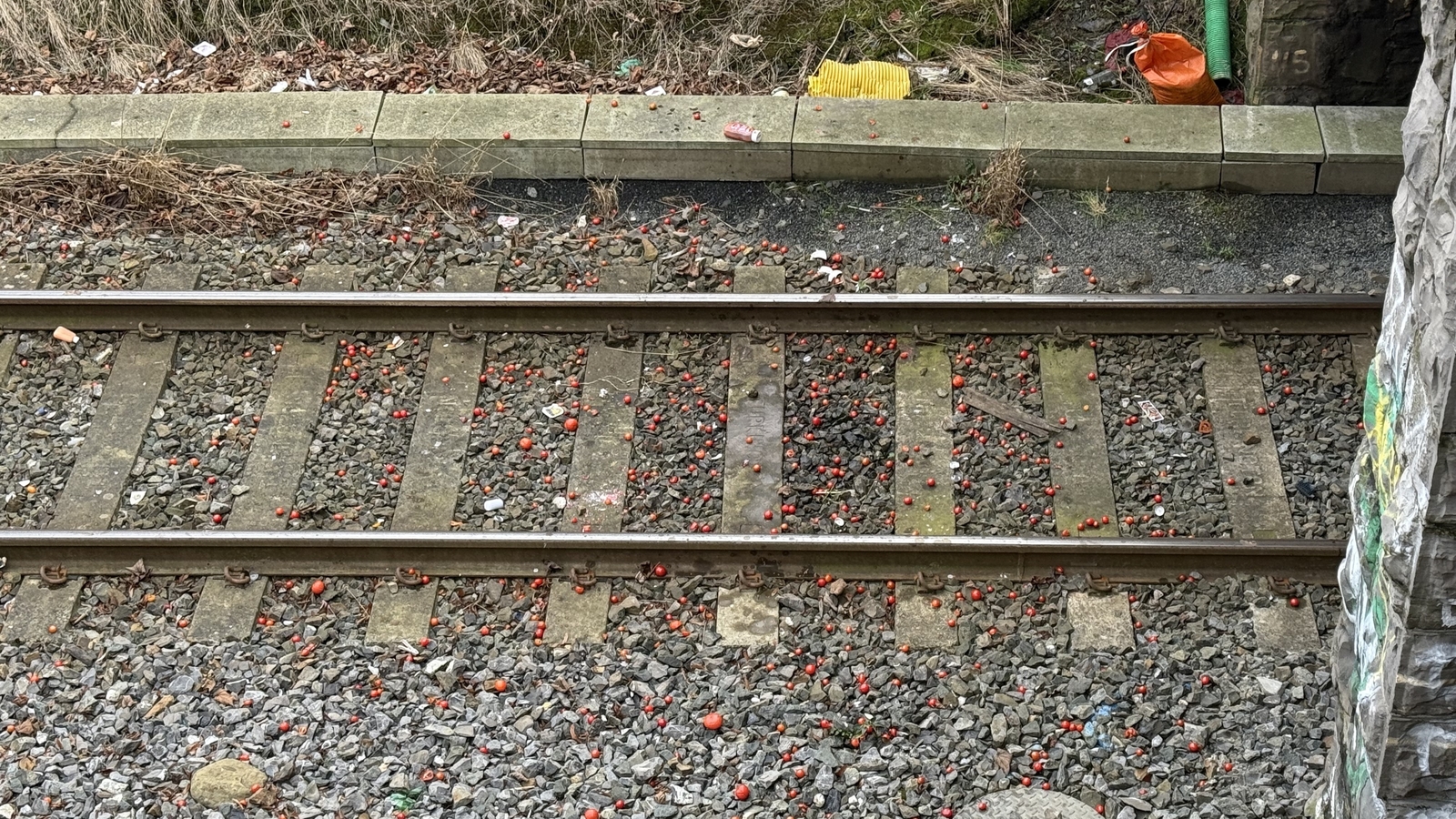 Watch: Is it all over for Dublin's Cherry Tomato Bridge?