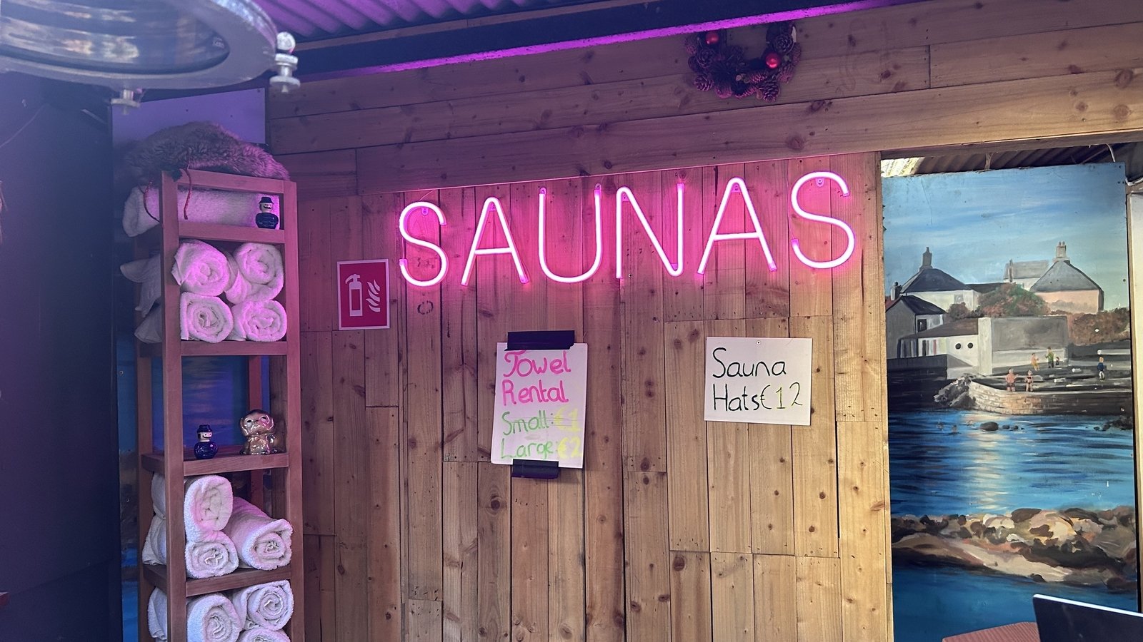 Dublin council mulls floating sauna as popularity grows