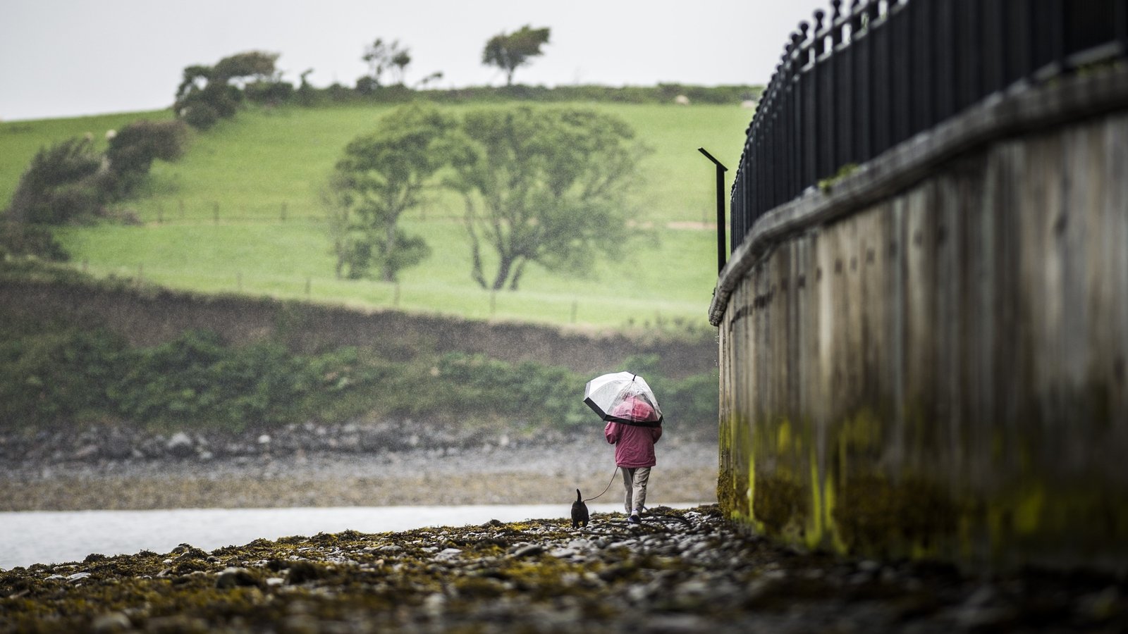 People in Cork urged to stay inside during Red warning