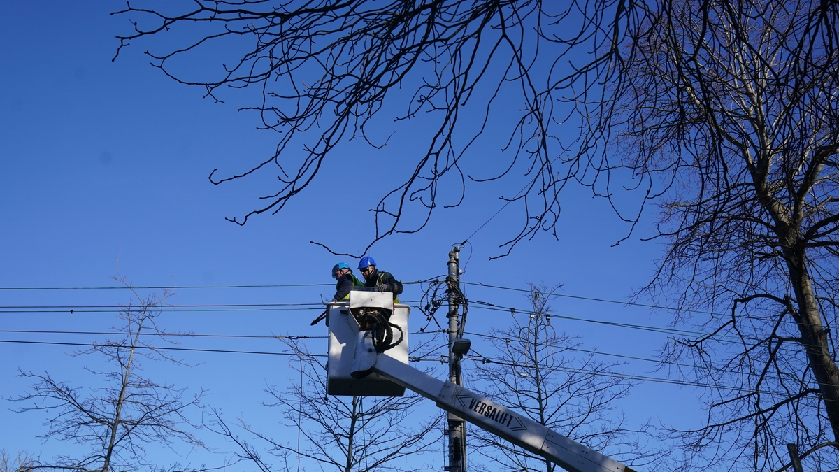 Storm Éowyn aftermath, ESB and Farming latest | News At One - RTÉ Radio 1
