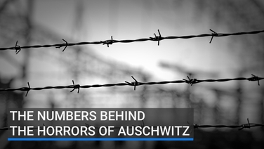 Video | The numbers behind the horrors of Auschwitz | RTÉ