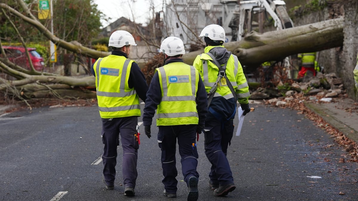 Storm Éowyn update and fallen trees | Today with Claire Byrne - RTÉ Radio 1