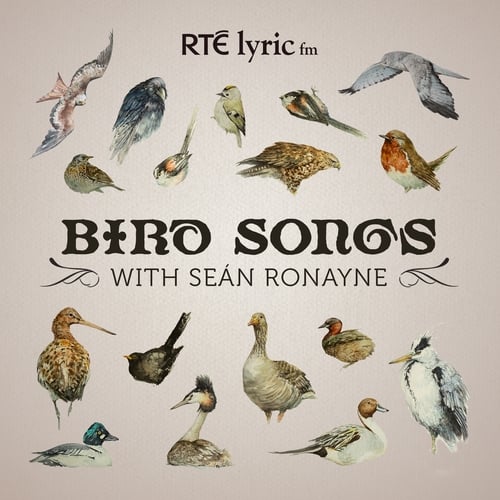 Bird Songs with Seán Ronayne - RTÉ Podcasts