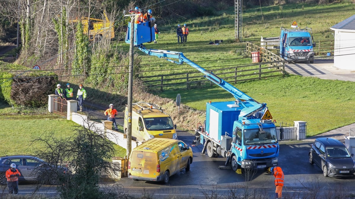 Some homes and businesses still without power a fortnight on from Storm ...