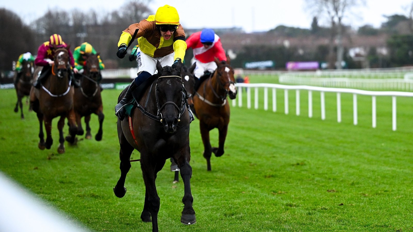 Gold Cup field down to 15 runners after latest entries