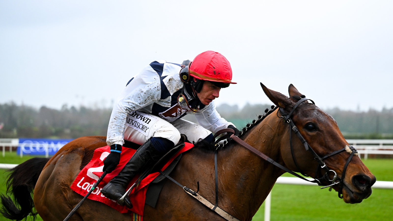 Ballyburn steps up in trip to get back on course