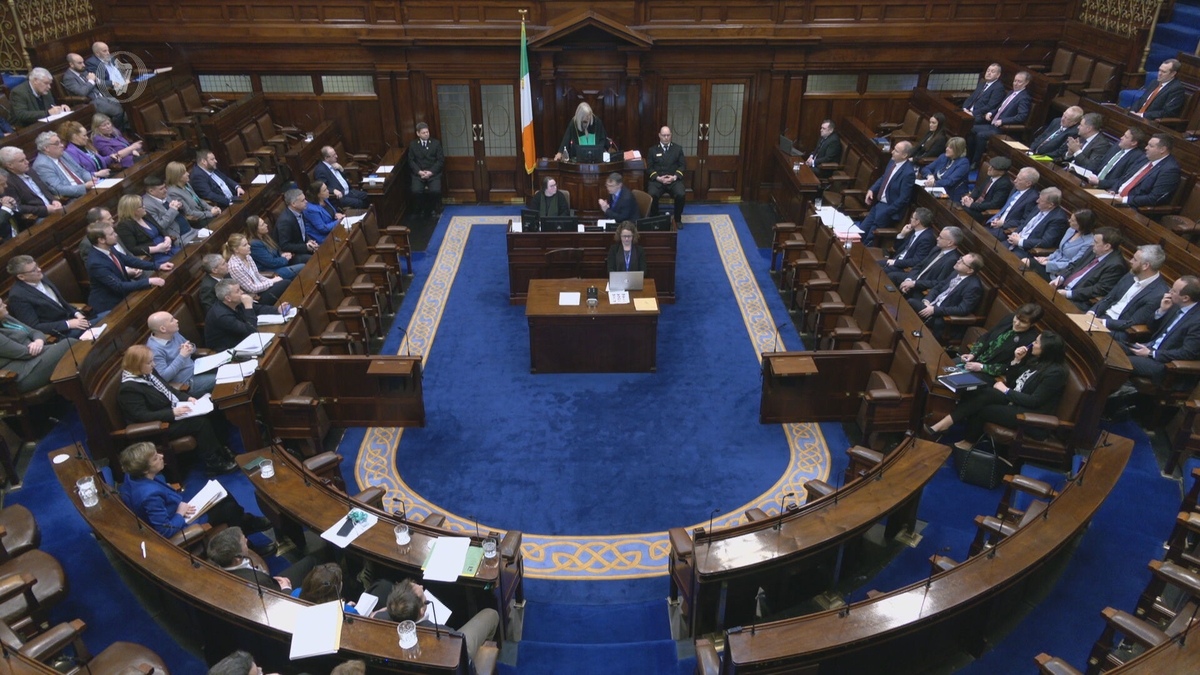 Dáil Speaking Rights Discussion Continues | News At One - RTÉ Radio 1