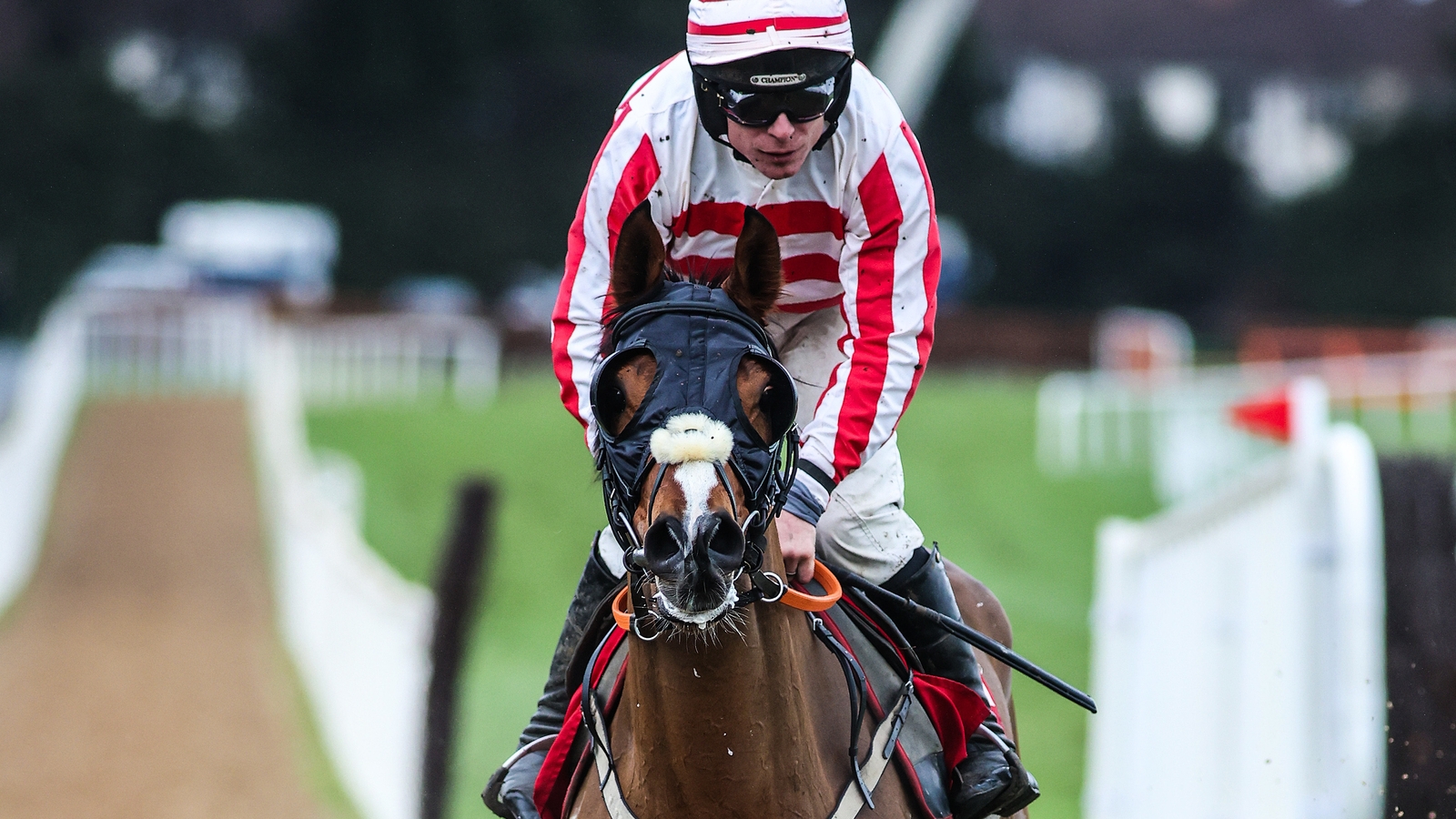 Senecia shocks El Fabiolo at Navan