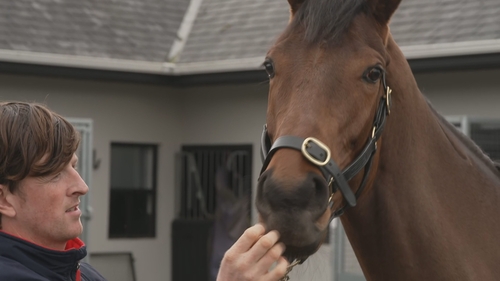 Small Kildare trainer chases big Cheltenham dream