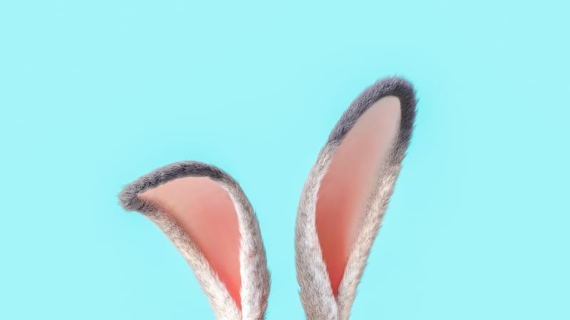 Where did the Easter Bunny come from?