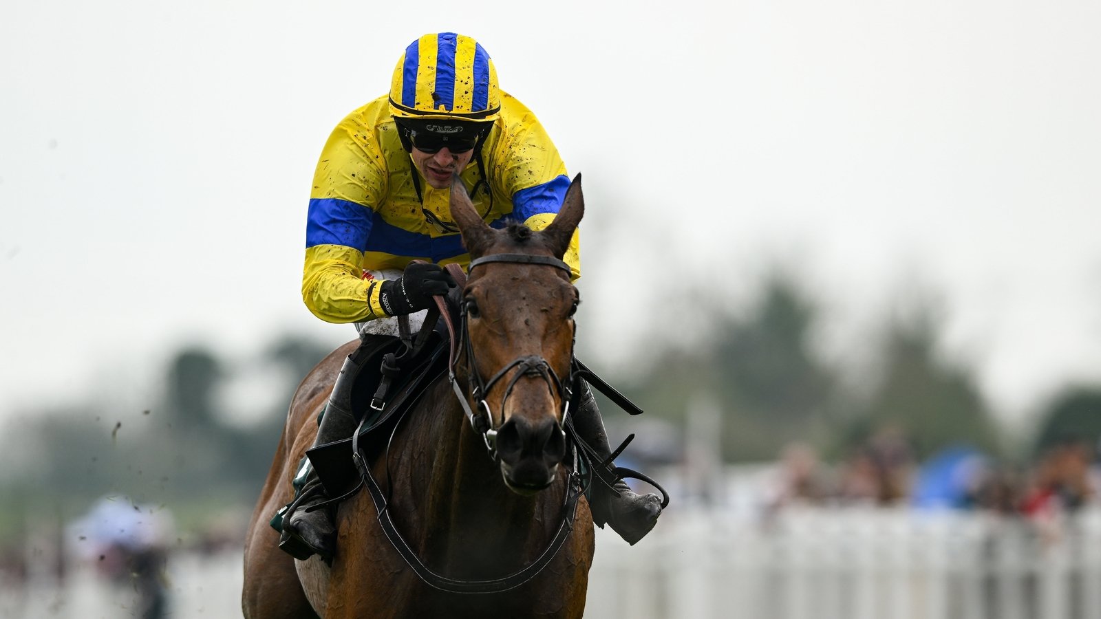 Spindleberry wins at Fairyhouse to keep unbeaten streak